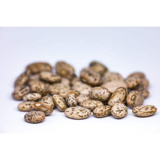 Melendres Farms Pechay Baguio (Wombok) | 700g-1kg | Shop | Walter Mart
